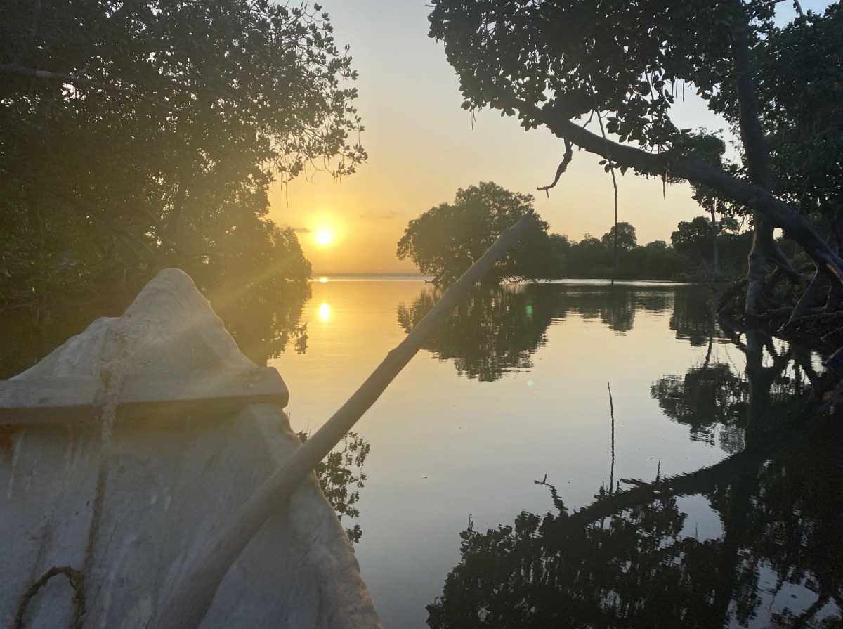 Kilifi: The best things to do in Kenya’s hidden gem – Alice World Travels